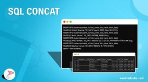 SQL CONCAT | Learn the Different Examples of SQL CONCAT