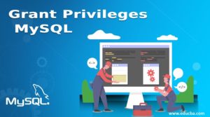Grant Privileges MySQL | Working of Granting and Revoking Privileges