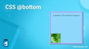 CSS @bottom | Learn How @bottom works in CSS with Examples