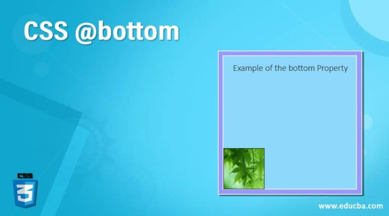 Css Bottom Learn How Bottom Works In Css With Examples
