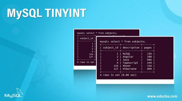 Mysql Tinyint Learn The Usage And Example Of Mysql Tinyint
