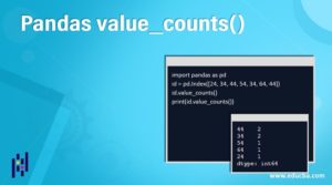 Pandas value_counts() | How value_counts() works in Pandas?