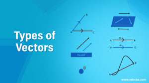 Types of Vectors | Guide to Top 10 Types of Vectors in Detail