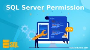SQL Server Permission | Examples of SQL Server Permission