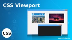 CSS Viewport | How to Use Viewport in CSS with Examples