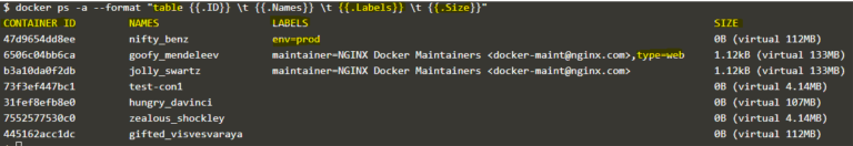 Docker ps | How the ps command works in Docker with examples?