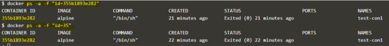 Docker Ps How The Ps Command Works In Docker With Examples
