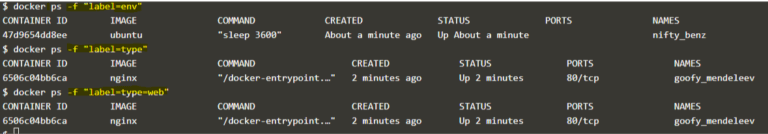 Docker ps | How the ps command works in Docker with examples?