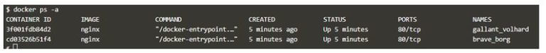 Docker Rm Working And Examples Of Docker Rm With Rules And Regulations