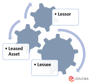 Lessee | Roles and Example of Lessee with Advantages & Disadvantages