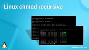 Linux chmod recursive | How Chmod Recursive Command Works?