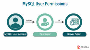 MySQL User Permissions | How to Apply User Permissions in MySQL?