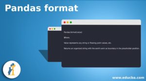 Pandas format | How format Function works in Pandas