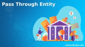 Pass Through Entity | Avoiding Double Taxation of Business Income