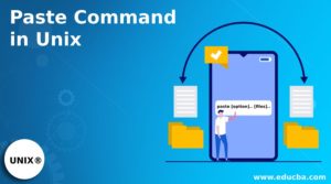 Paste Command in Unix | Working | Examples of Paste Command in Unix