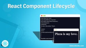 React Component Lifecycle | Three main Phases of React Components