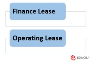 Lessee | Roles and Example of Lessee with Advantages & Disadvantages