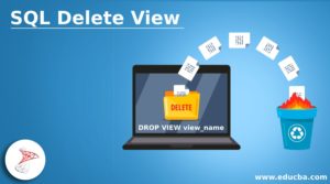 SQL Delete View | A Quick Glance on SQL Delete View