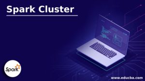 Spark Cluster | How does Apache Spark Cluster work with Different Types
