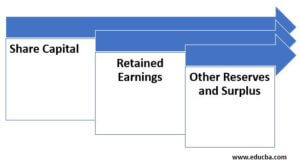 Stockholder | Types, Roles and Responsibilities | Stockholder Equity