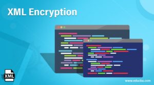 XML Encryption | Learn the Encryption and Digital Signature of XML