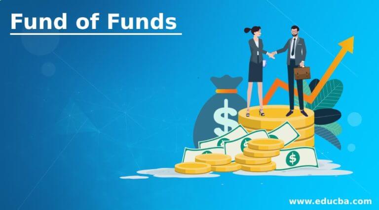 Fund of Funds | How Does it Work | Advantages and Disadvantages