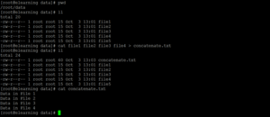 Linux Concatenate Files | How Linux Concatenate Files Work?
