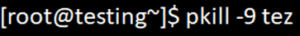 Linux Kill Signals | How to Kill Signals in Linux with Examples?