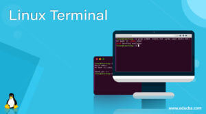 Linux Terminal | How to Open Linux Terminal Window?