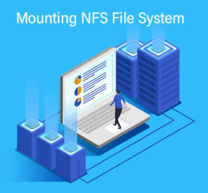 What is NFS | Learn the Working and Versions of NFS