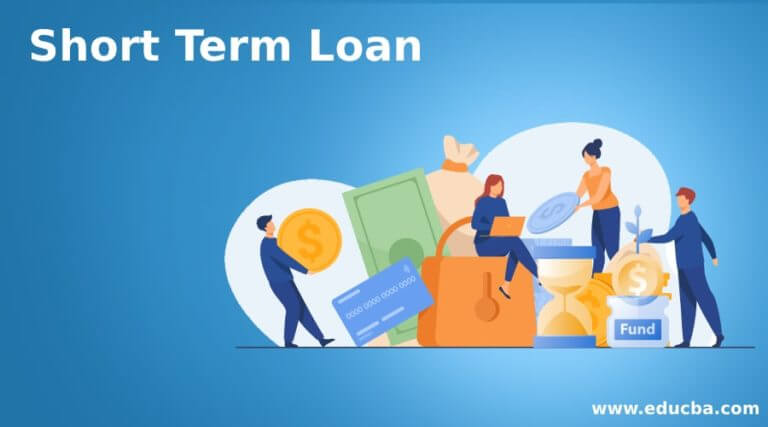 Short Term Loan | Types and Examples of Short Term Loan