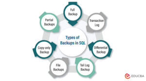 SQL Backup | 3 Different Types of Backups in SQL with Examples