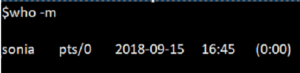 WHO Command in Unix | How does WHO Command Work in Unix?