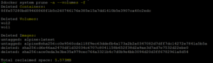 Docker system prune | How System Prune works in Docker?