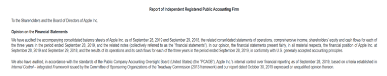 Audit Report Examples | Examples with Explanation