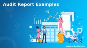 Audit Report Examples | Examples with Explanation