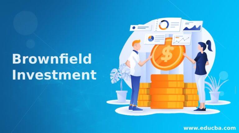Brownfield Investment | Real Word Examples of Brownfield Investment