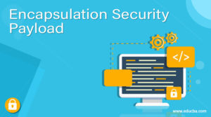 Encapsulation Security Payload | Learn the Modes of Operation