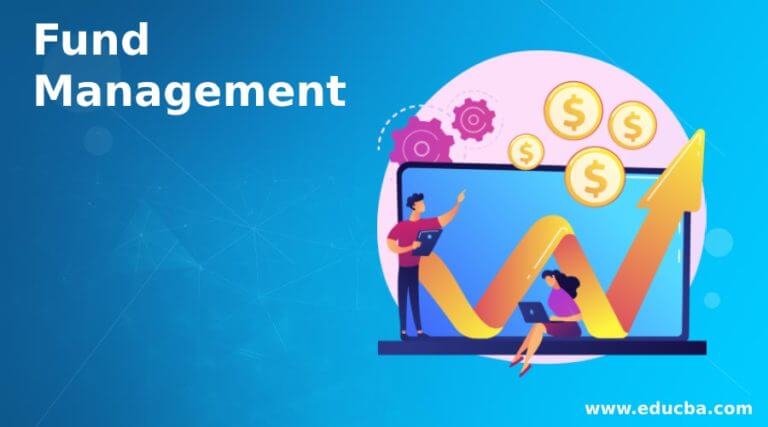 Fund Management | Objectives and Types of Fund Management