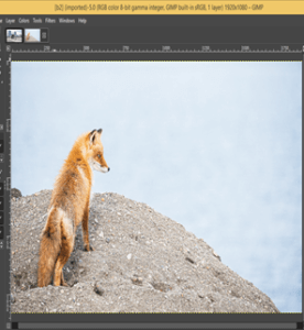 GIMP blend tool | How to use the Blend tool in GIMP?