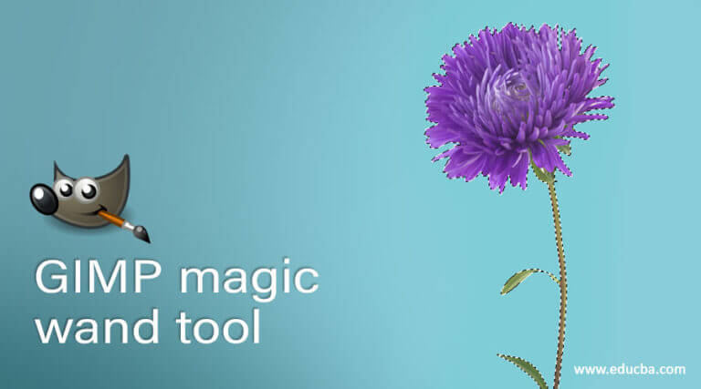 GIMP magic wand tool | How to use the Magic Wand tool?