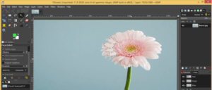 GIMP magic wand tool | How to use the Magic Wand tool?
