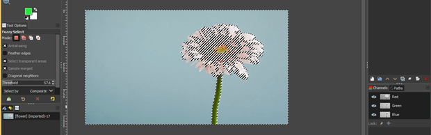 GIMP magic wand tool | How to use the Magic Wand tool?