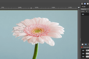 GIMP magic wand tool | How to use the Magic Wand tool?