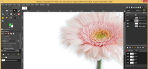 GIMP magic wand tool | How to use the Magic Wand tool?