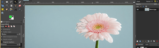 GIMP magic wand tool | How to use the Magic Wand tool?
