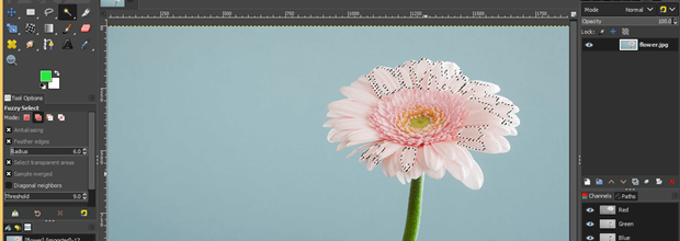 GIMP magic wand tool | How to use the Magic Wand tool?