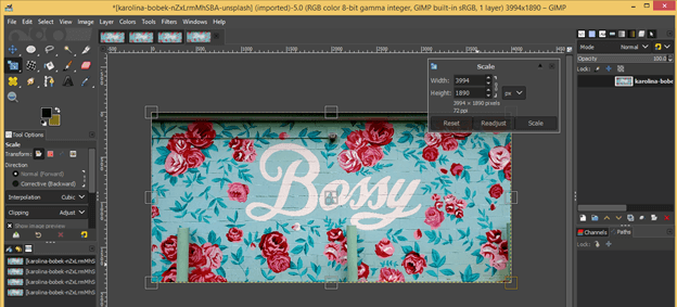 GIMP Resize Image How To Resize Image In GIMP With Different Method 