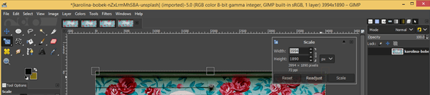 GIMP resize image | How to resize image in GIMP with different method?