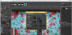 GIMP resize image | How to resize image in GIMP with different method?